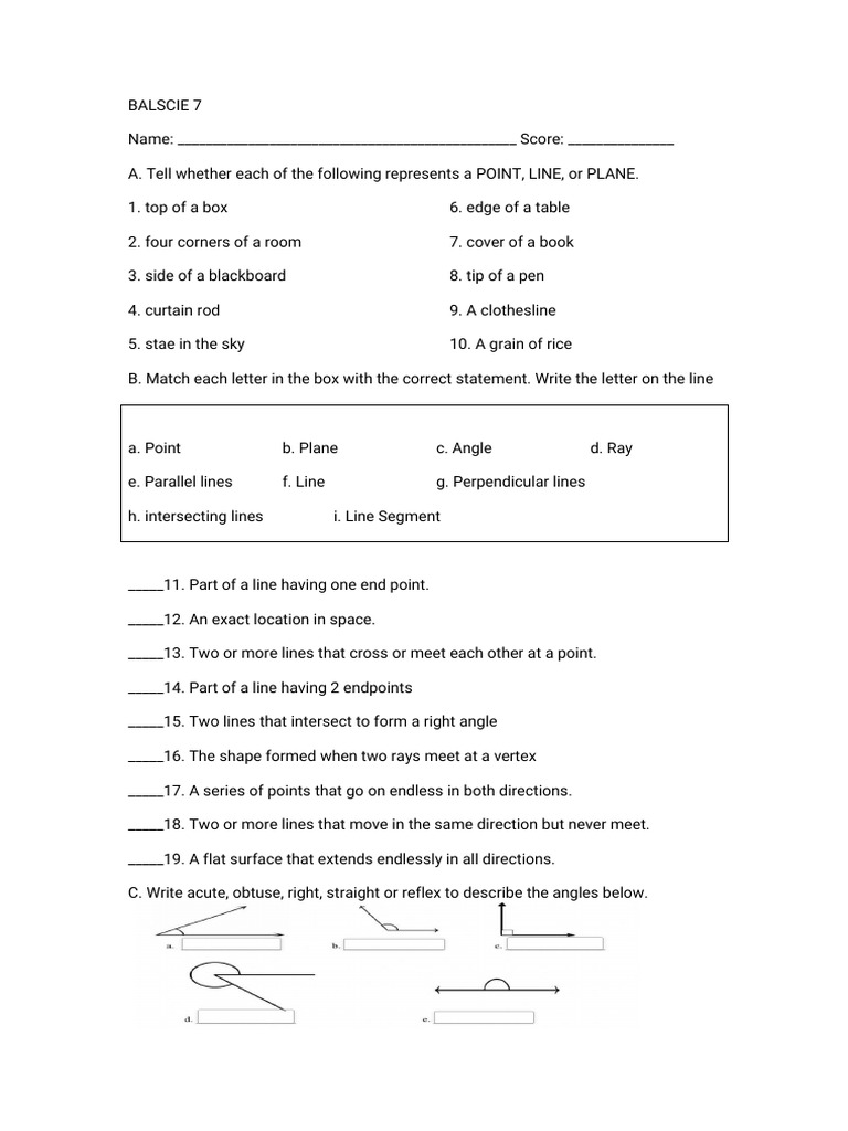 BALSCIE 7-WPS Office | PDF
