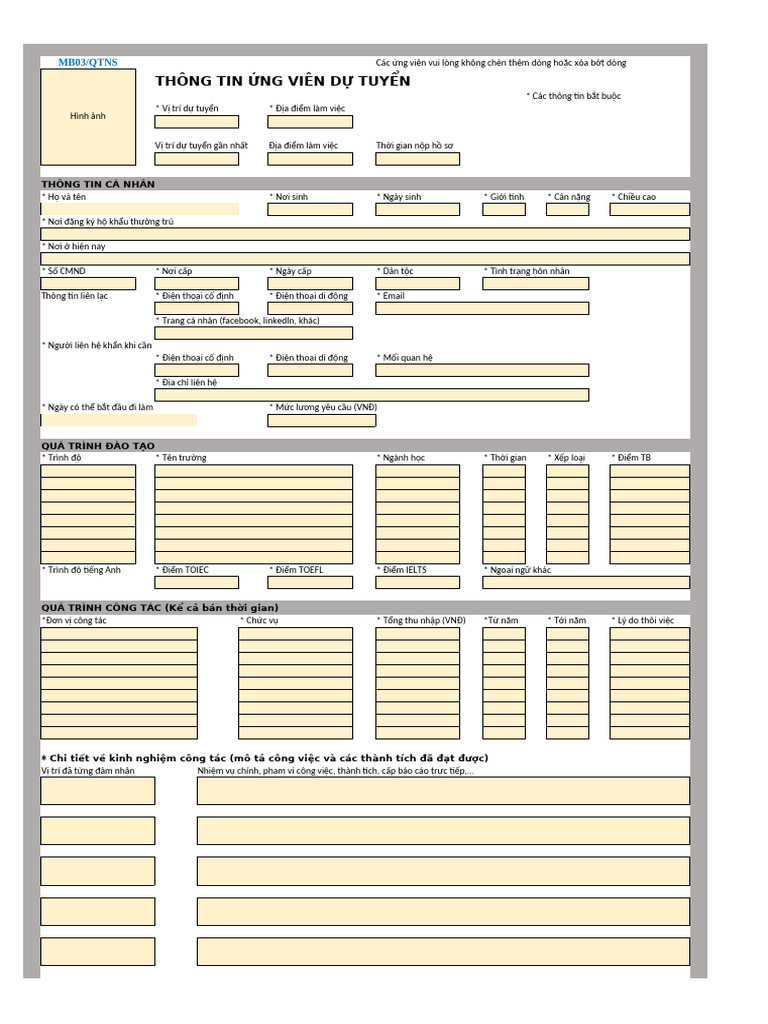MB03-CV NG Viên | PDF