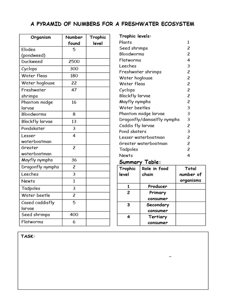 (M9.1) COMPLETE - Pyramid of Numbers | PDF | Systems Ecology | Ecology