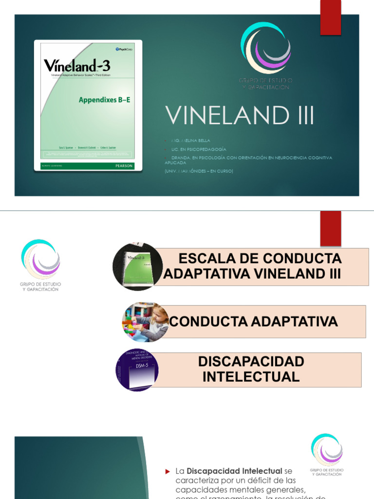 Vineland 3 | PDF | Autismo | Discapacidad intelectual