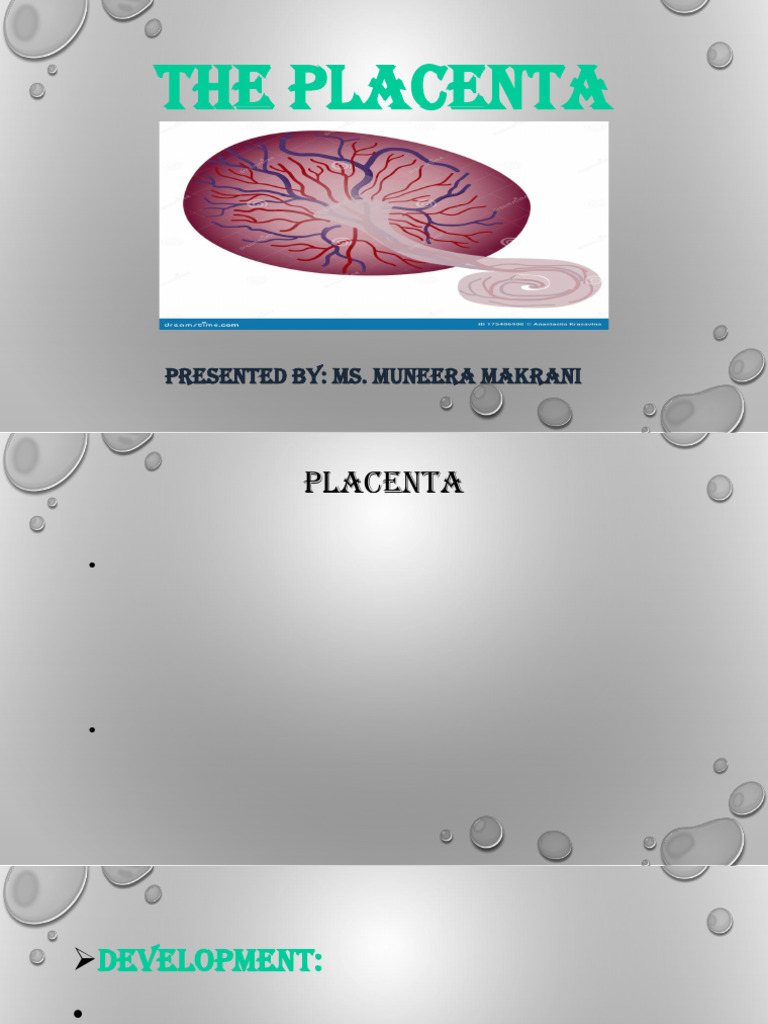 Placenta | PDF | Placenta | Morphology (Biology)