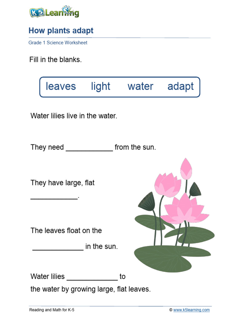 Grade 1 Plant Adaptations | PDF