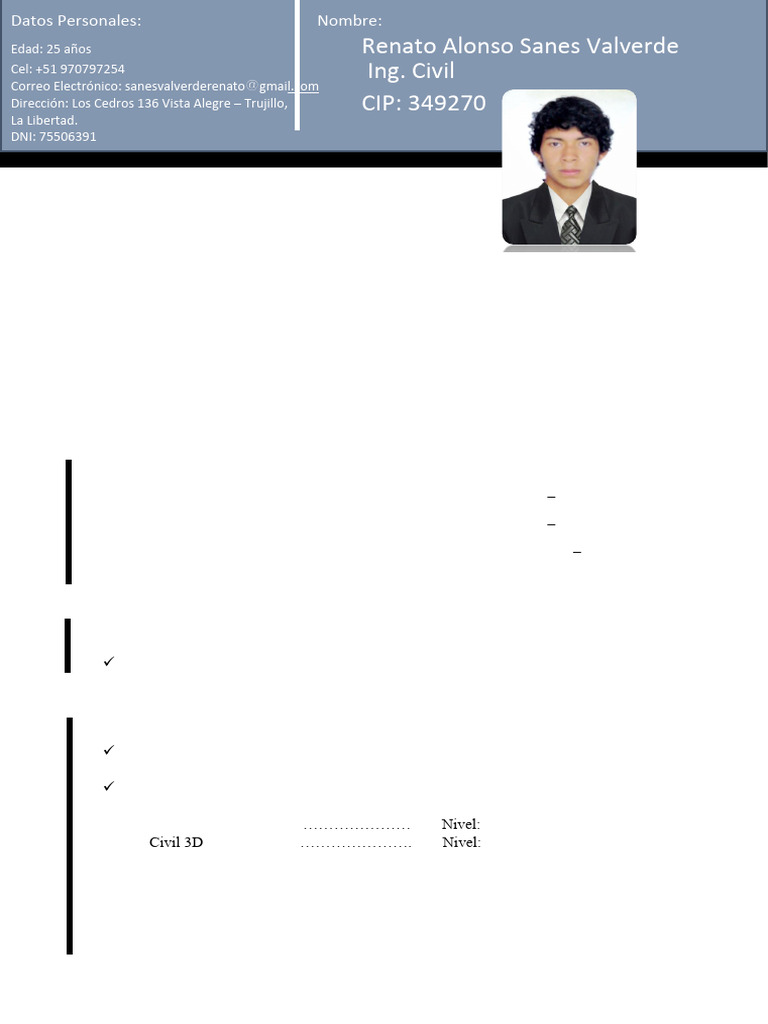 CV - Renato Alonso Sanes Valverde 2024 | PDF | Lima