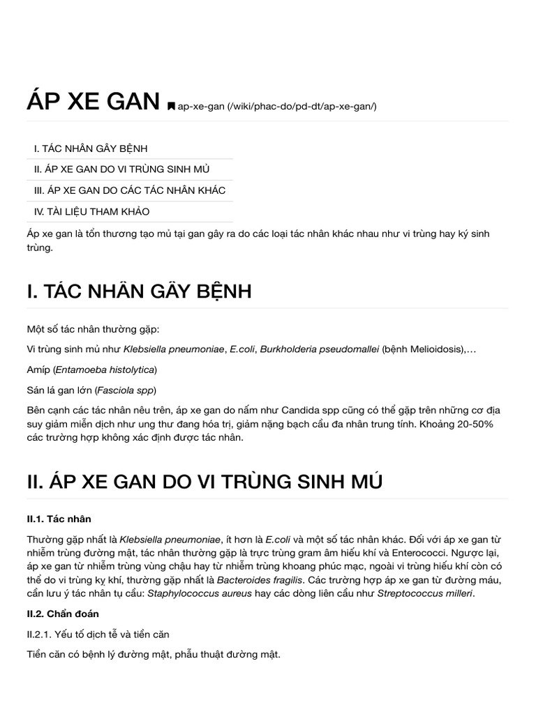 Áp Xe Gan | PDF