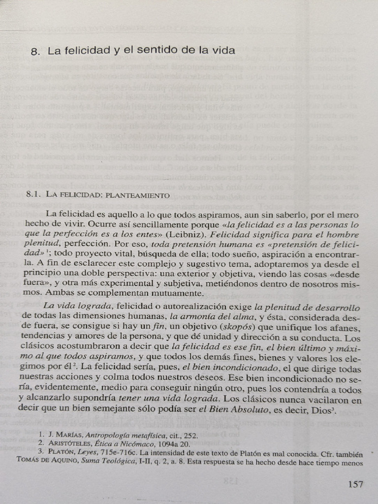 La búsqueda de la felicidad y su sentido | PDF | Felicidad ...