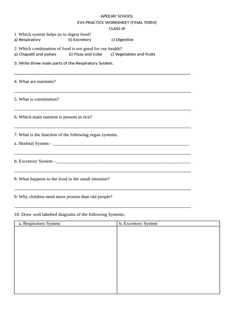 Class III EVS Final Term Worksheet | PDF
