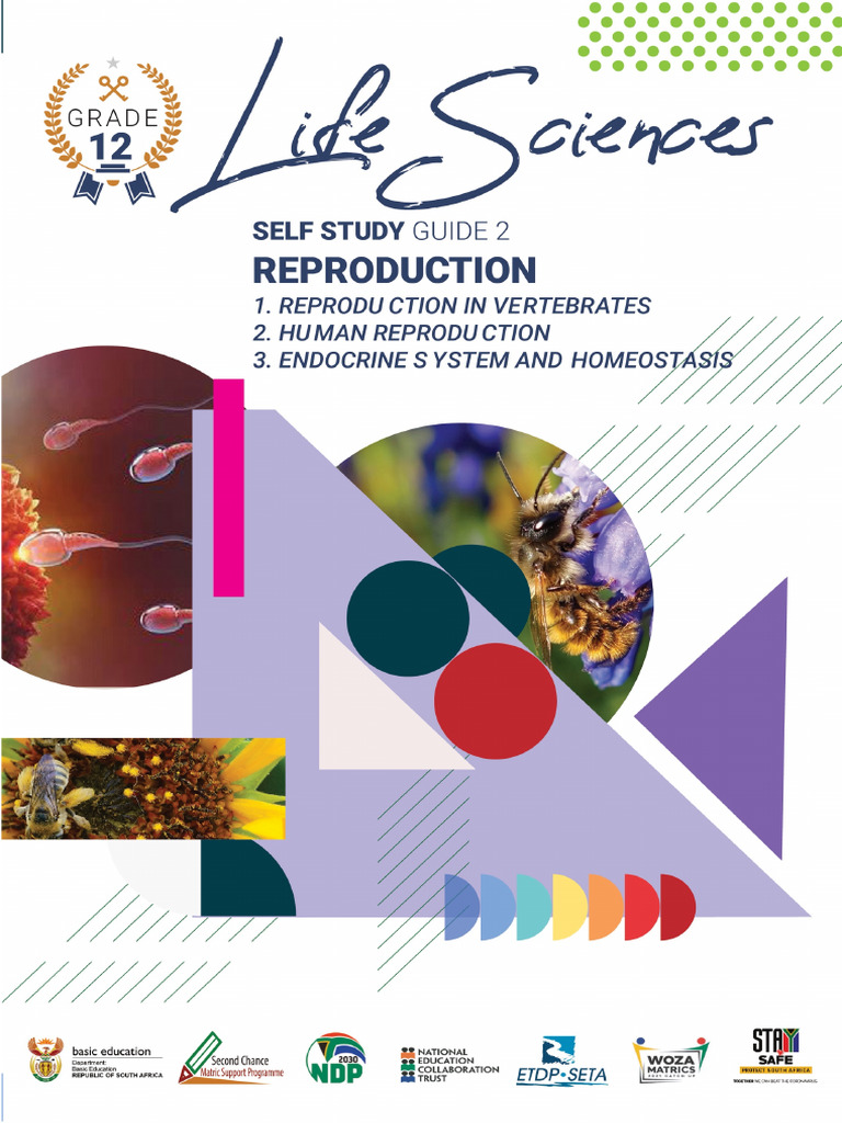 Life Sciences Study Guide Grade 12 | PDF | Menstrual Cycle | Fertilisation