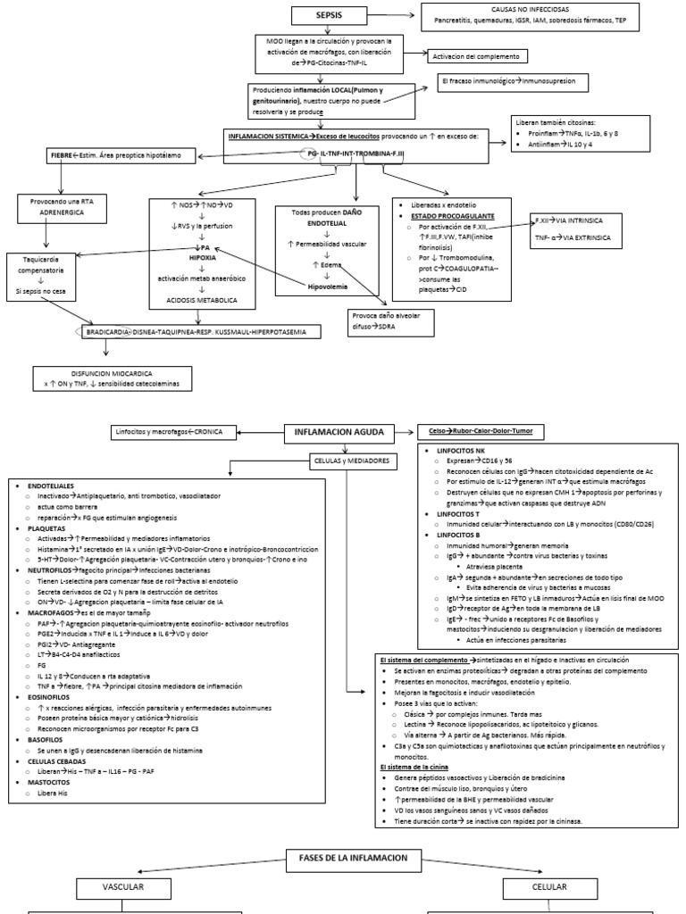 Fisiopatología de la Sepsis y Shock | PDF | Inflamación | Sistema ...