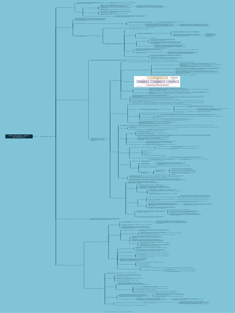 Patologia Del Pulmon I (Inflamatorias) | PDF | Asma | Pulmón