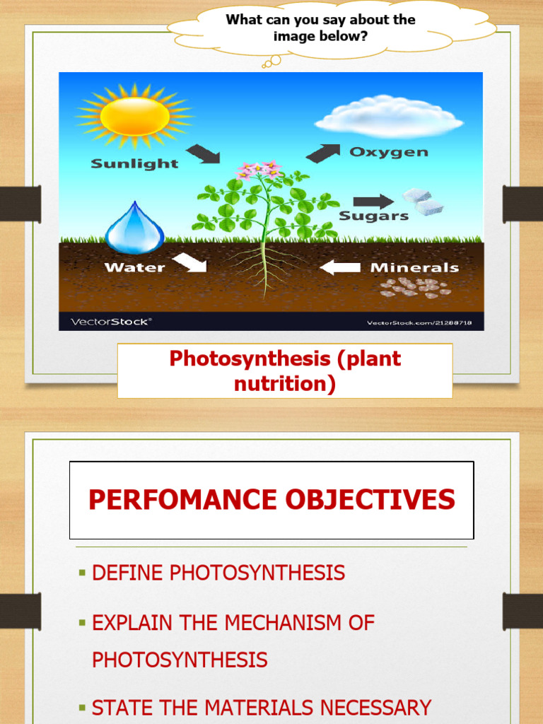 Plants Nutrition (Photosynthesis) | PDF | Photosynthesis | Biology