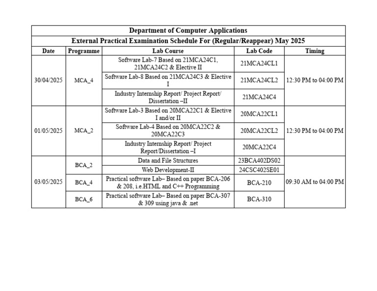 CA External Practical Schedule May 2025 | PDF