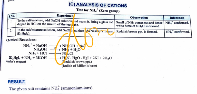 Iodide of Millon's Base Test Results | PDF