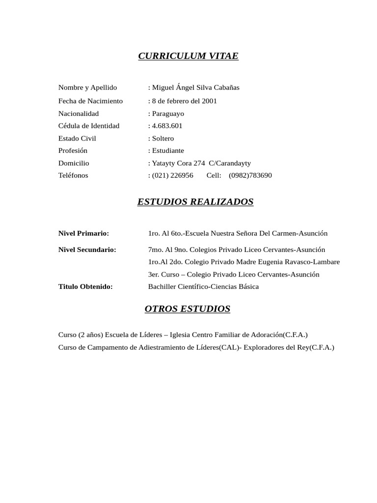 Curriculum Vitae Miguel Silva | PDF