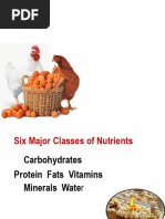 Broiler Medication and Vaccination Schedule | PDF