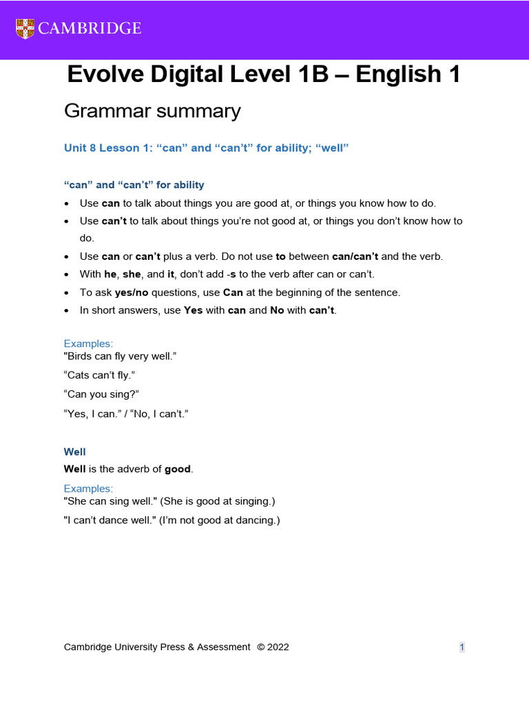 Unit 8 - E1 - Grammar | PDF