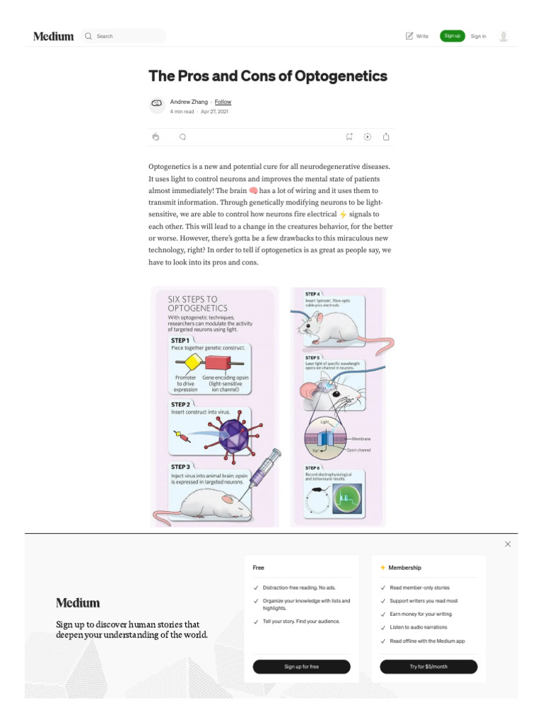 Yanhui Lu Zhang Medium Com The Pros and Cons of Optogenetics ...
