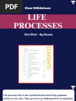 Class 10 - Life Processes | PDF | Nutrition | Diet & Nutrition