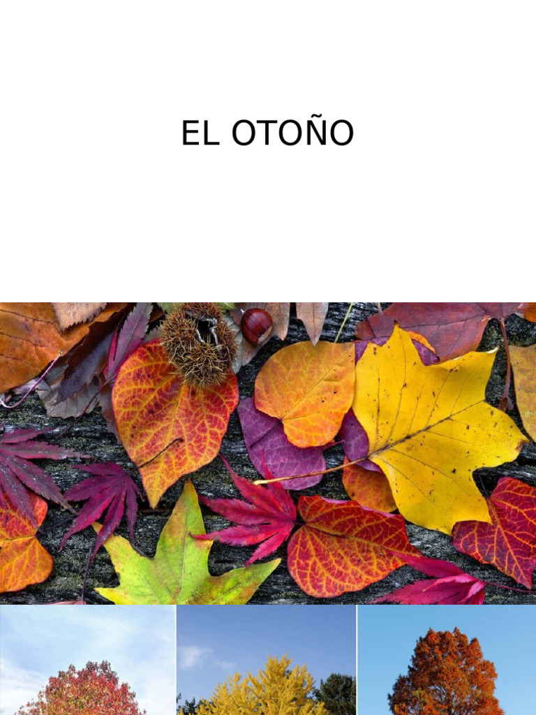 El Otoño | PDF