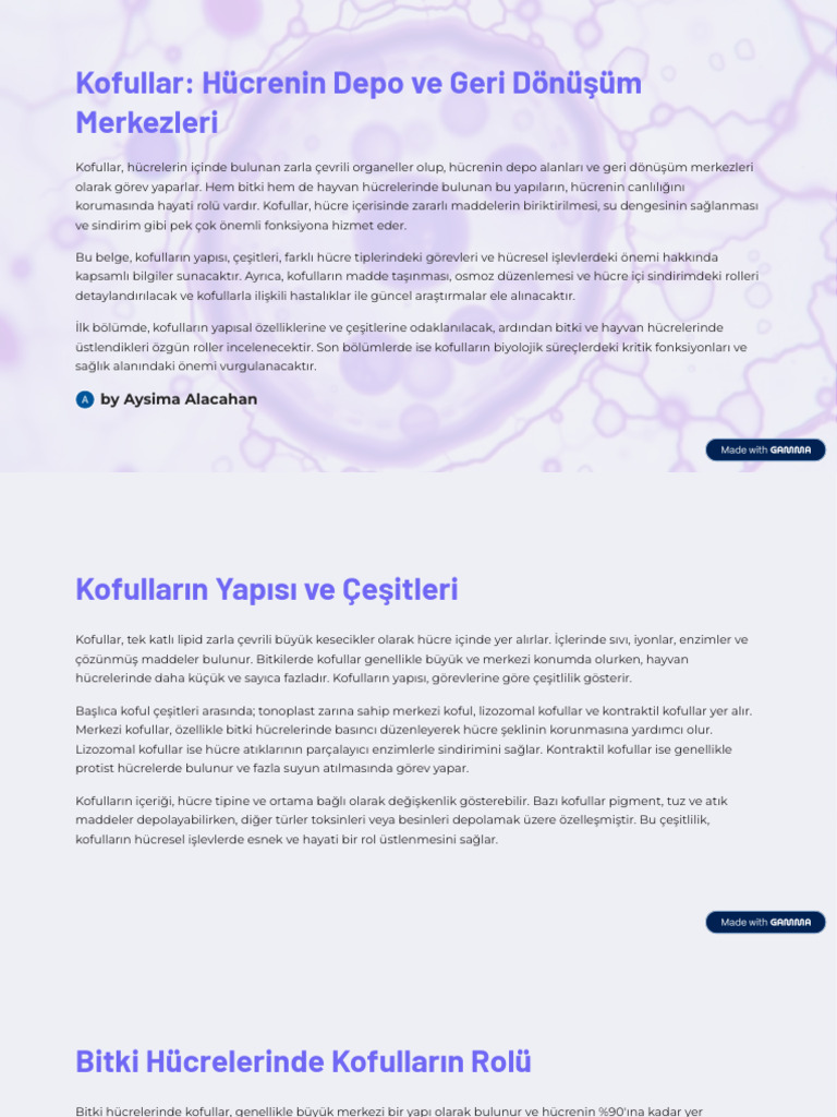 Kofullar Hucrenin Depo Ve Geri Donusum Merkezleri | PDF