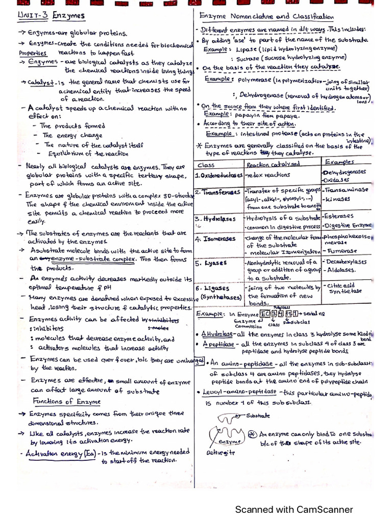 Grade 11 Biology Unit 3 | PDF