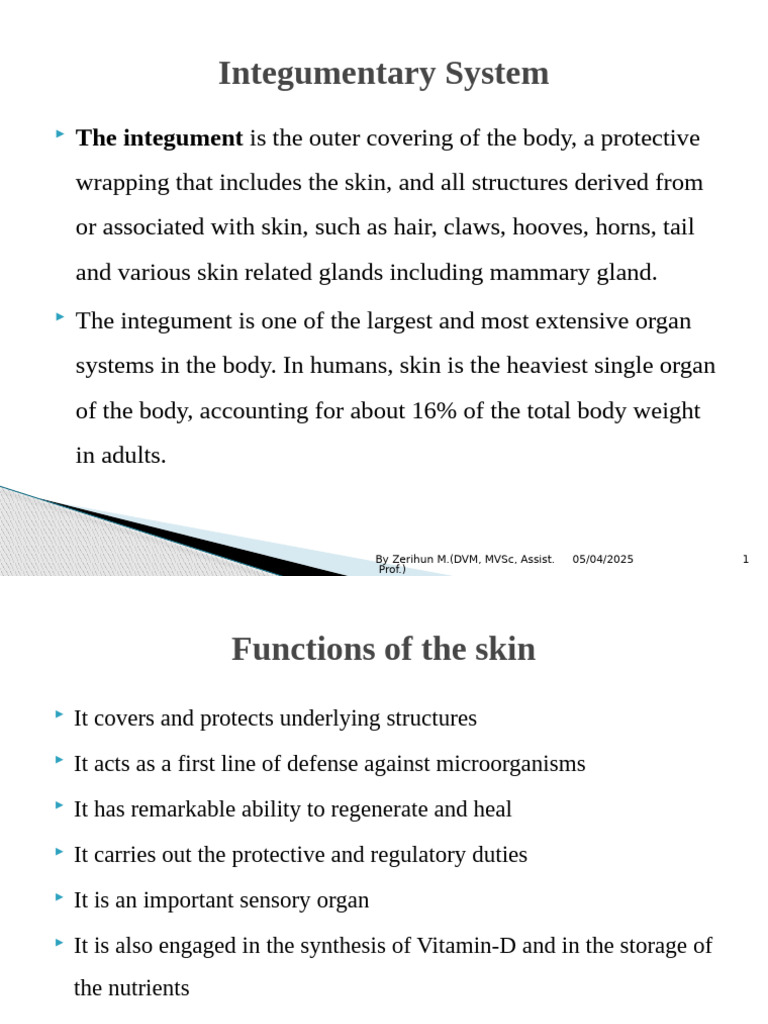 Chapter 5 - Surgical Affections of INTEGUMENTARY SYSTEM | PDF ...