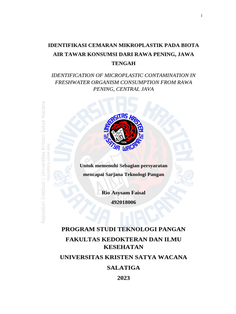 Rio Asysam Faisal-492018006-Bendel TA Soft File | PDF