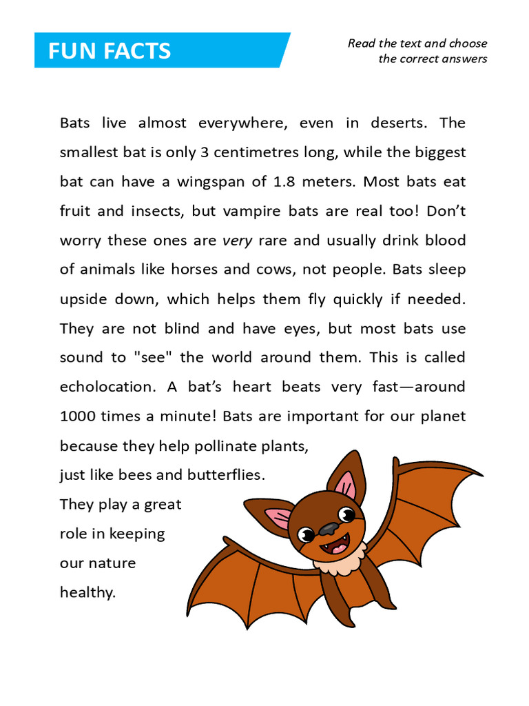 Fun Facts Bats | PDF
