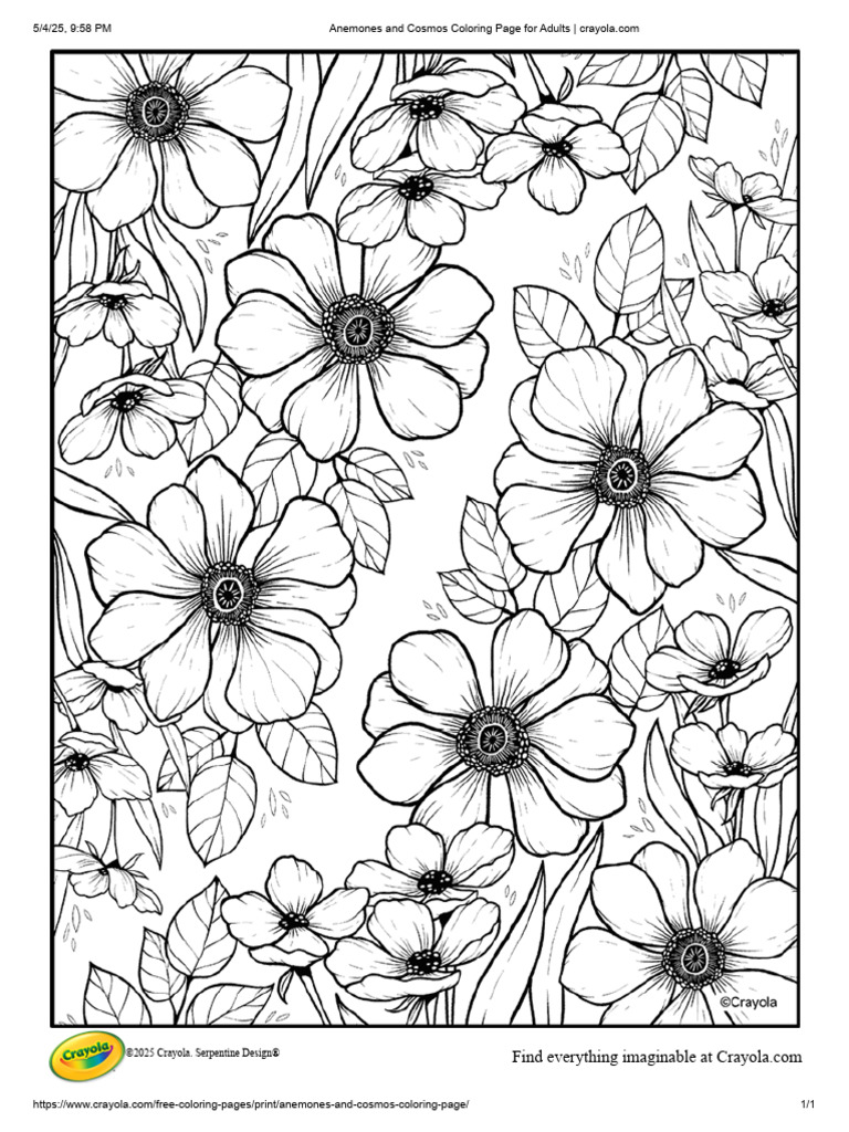 Anemones and Cosmos Coloring Page | PDF