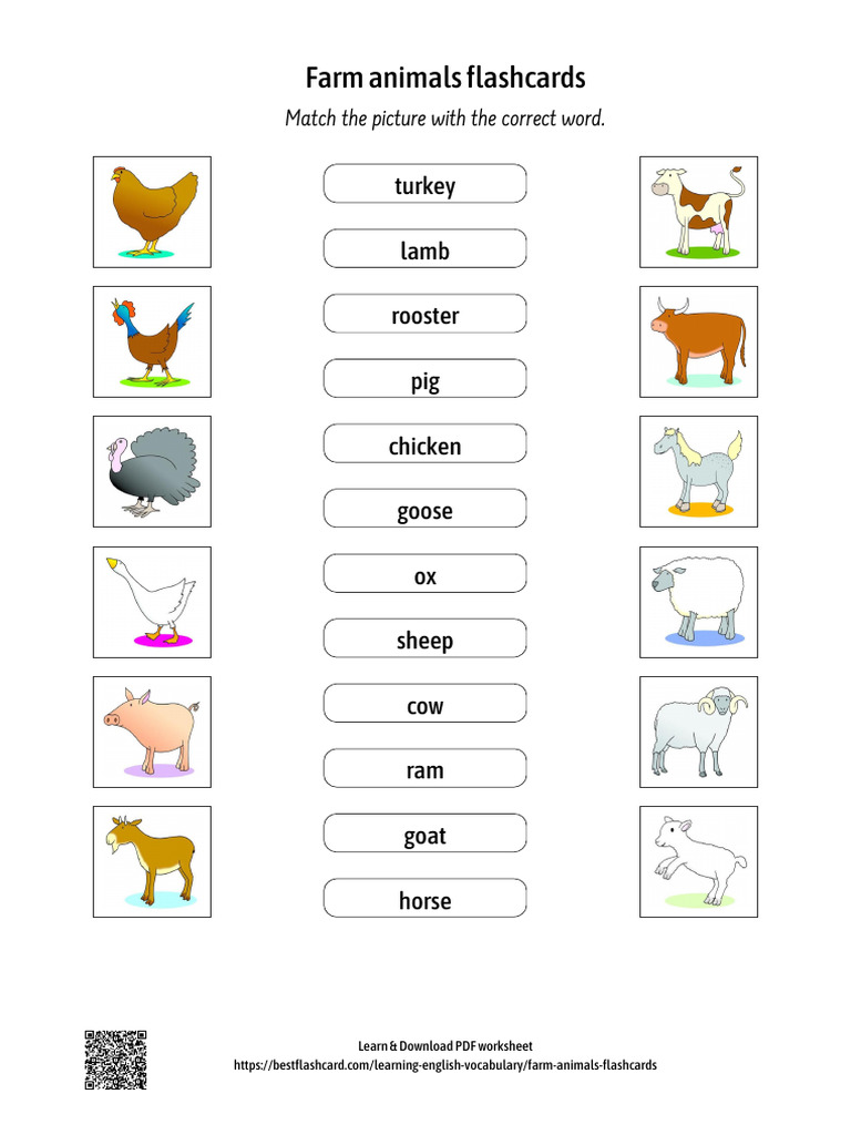 Homework Grade 3 Part 19 | PDF