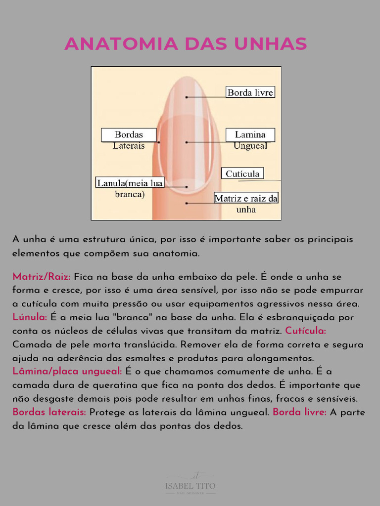 Cópia de Anatomia da unha _20250504_123359_0000 | PDF