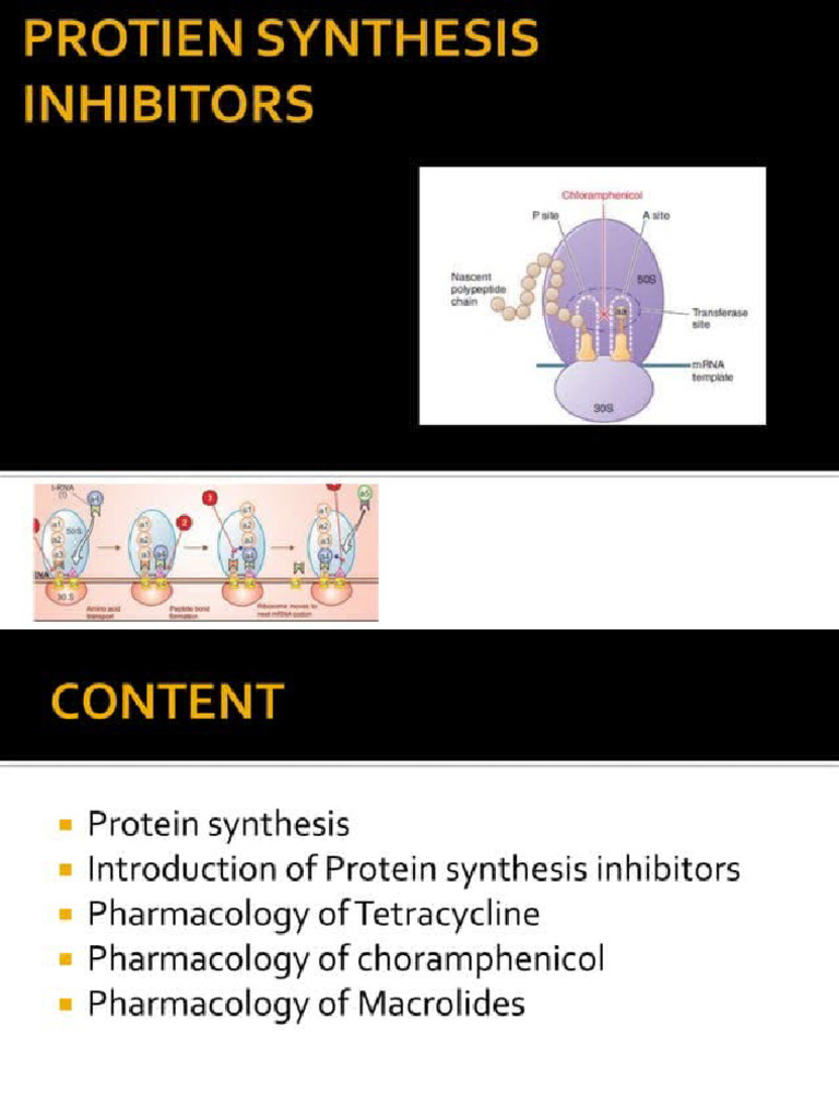 Lec. 25-26 Cology 3rd Prof Protein Synthesis Inhibitors | PDF