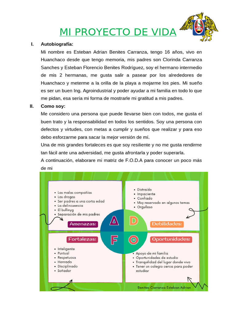 Mi Proyecto de Vida | PDF | Toma de decisiones | Las emociones