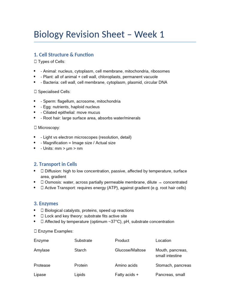 Biology Week1 Revision Sheet | PDF | Digestion | Enzyme