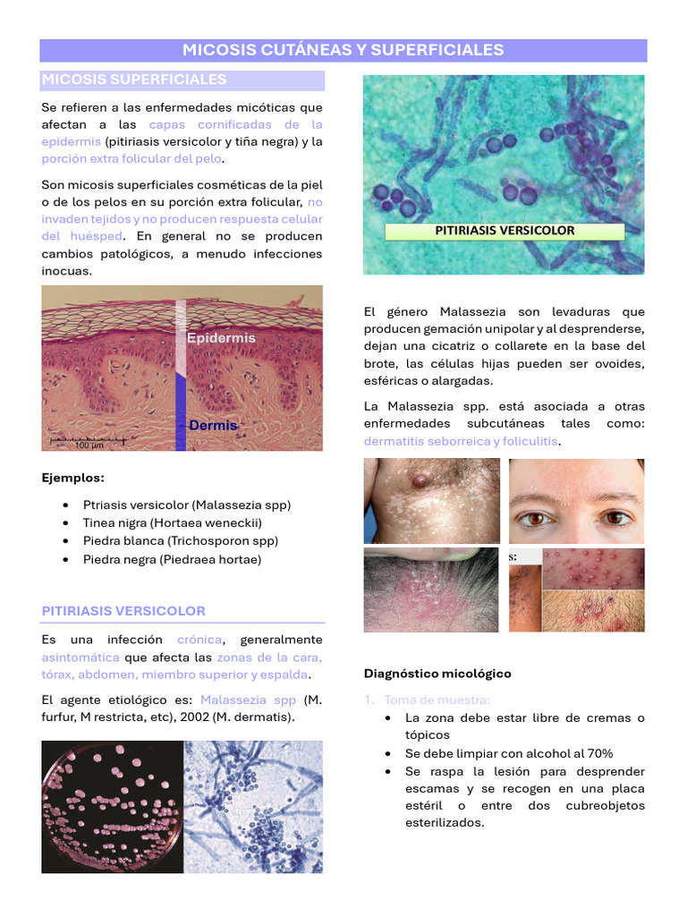 6. Micosis Cutáneas y Superficiales | PDF | Candidiasis | Enfermedades ...