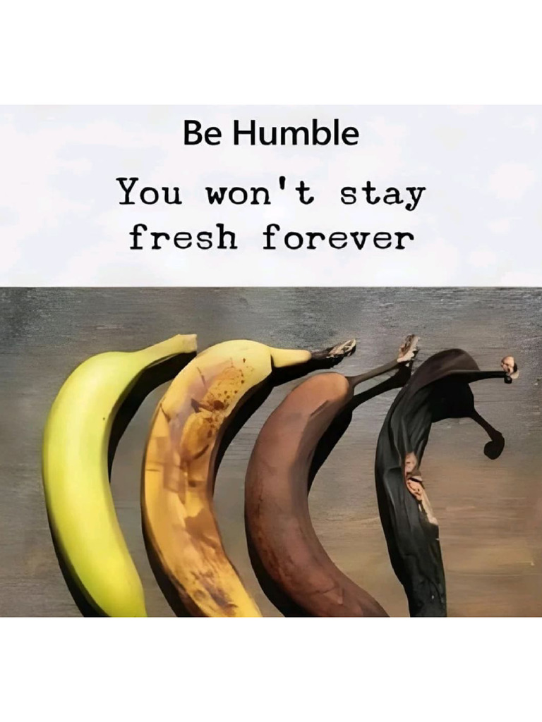 Be Humble | PDF
