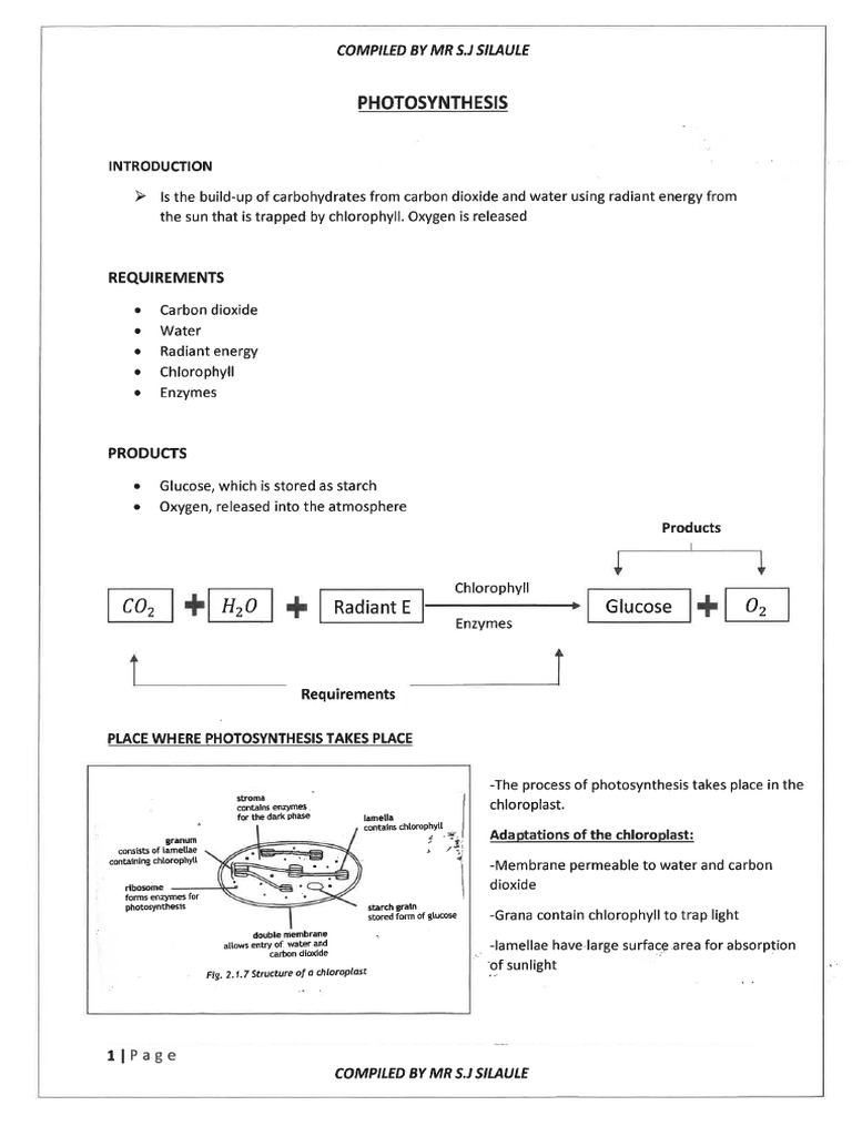 Photosynthesis Notes | PDF