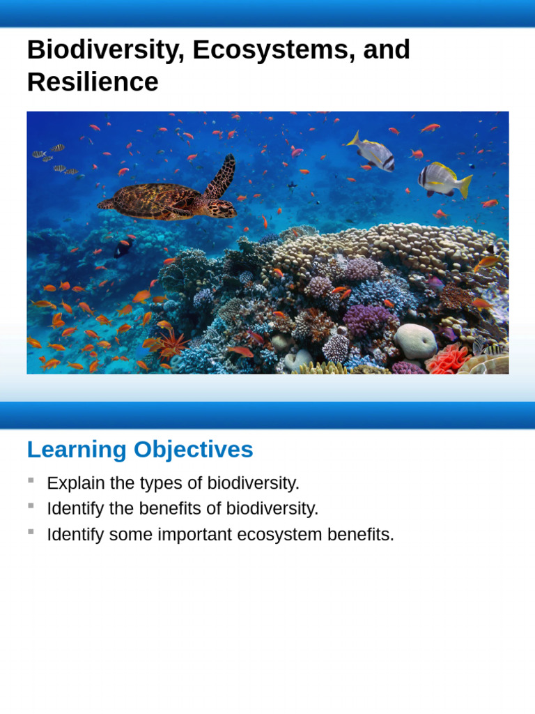 BIO COMM L03 Editable Presentation | PDF