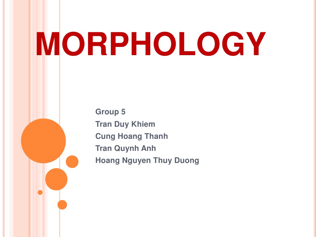 Morphology