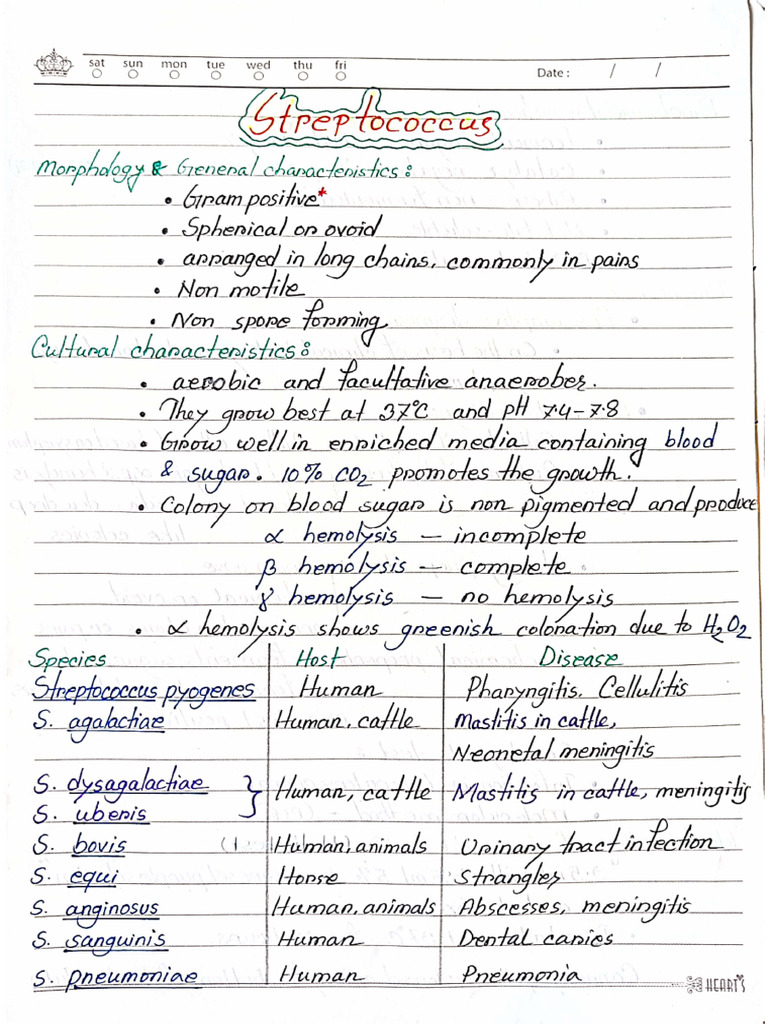 Systemic Bacteriology-1 (1) 250429 205935 | PDF