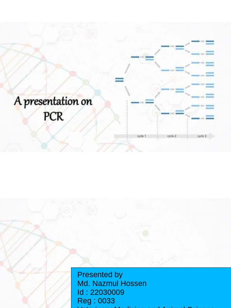 Nazmul (Id 22030009) A Presentation On PCR-1 | PDF