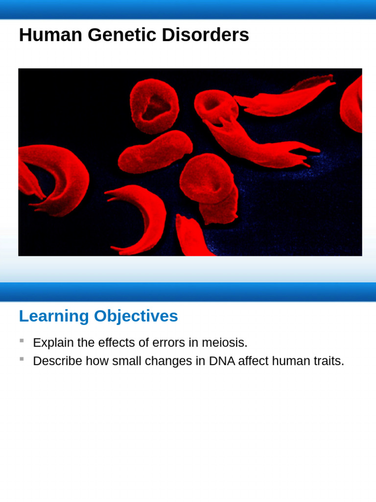 BIO GENO L02 Editable Presentation | PDF