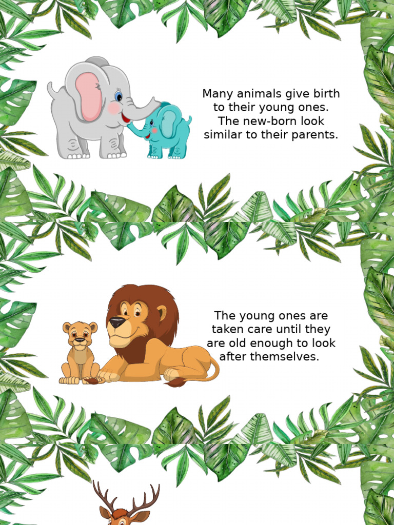 Animals that Give Birth | PDF