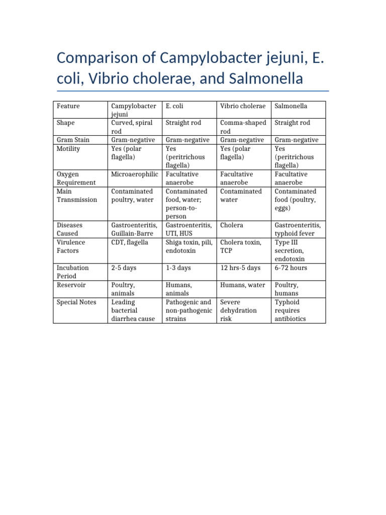 Bacterial Comparison | PDF