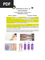 Anatomia do Sistema Venoso Ázigo | PDF | Fígado | Abdômen