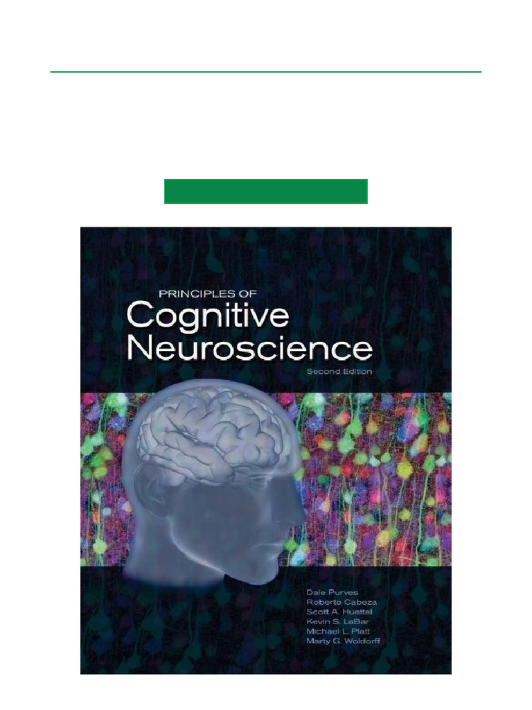 Principles Of Cognitive Neuroscience 2nd Edition Digital Epub Download Pdf Attention Memory