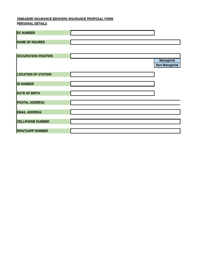 Makomeke Nssa Staff Comprehensive Proposal Form Makomeke. | PDF | Insurance