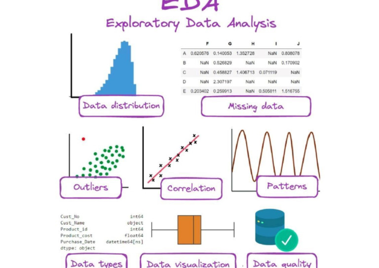 Eda Steps | PDF
