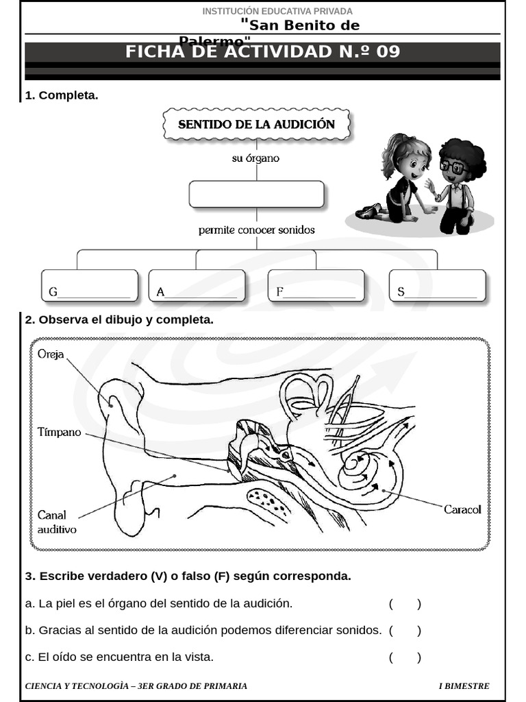 Audiciòn Actividad | PDF