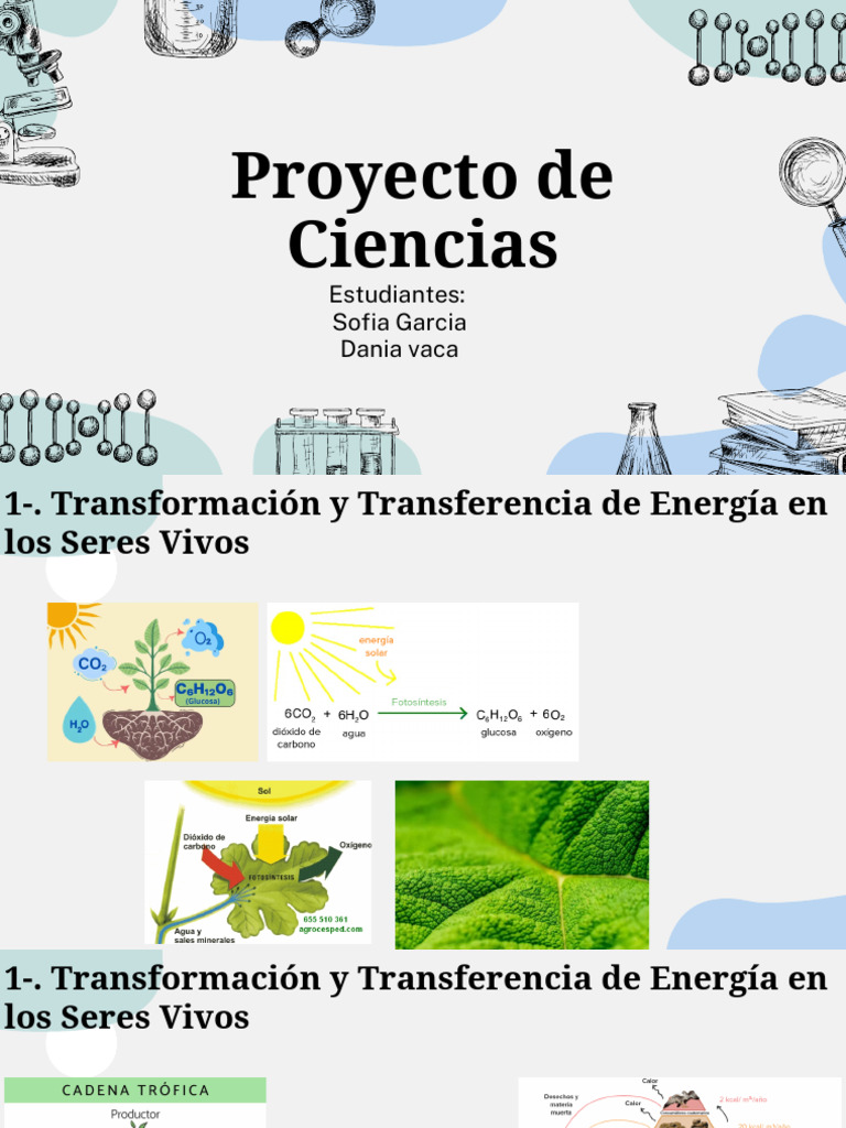 Presentación de Ciencias | PDF