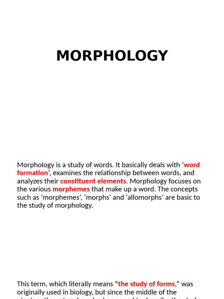 Class 1 - Morphology | PDF